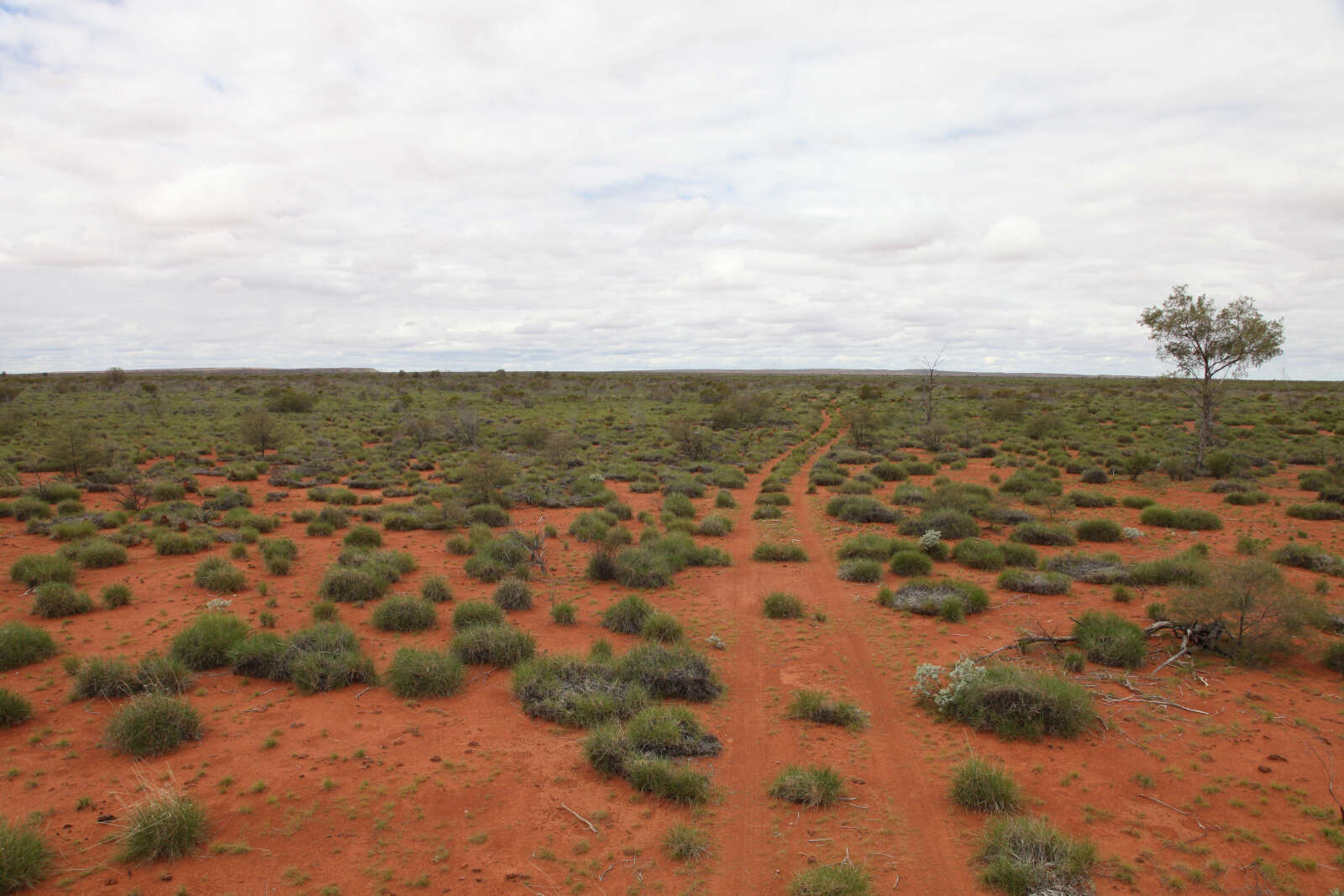 Papunya Tula - Through the Years (1999-2017)